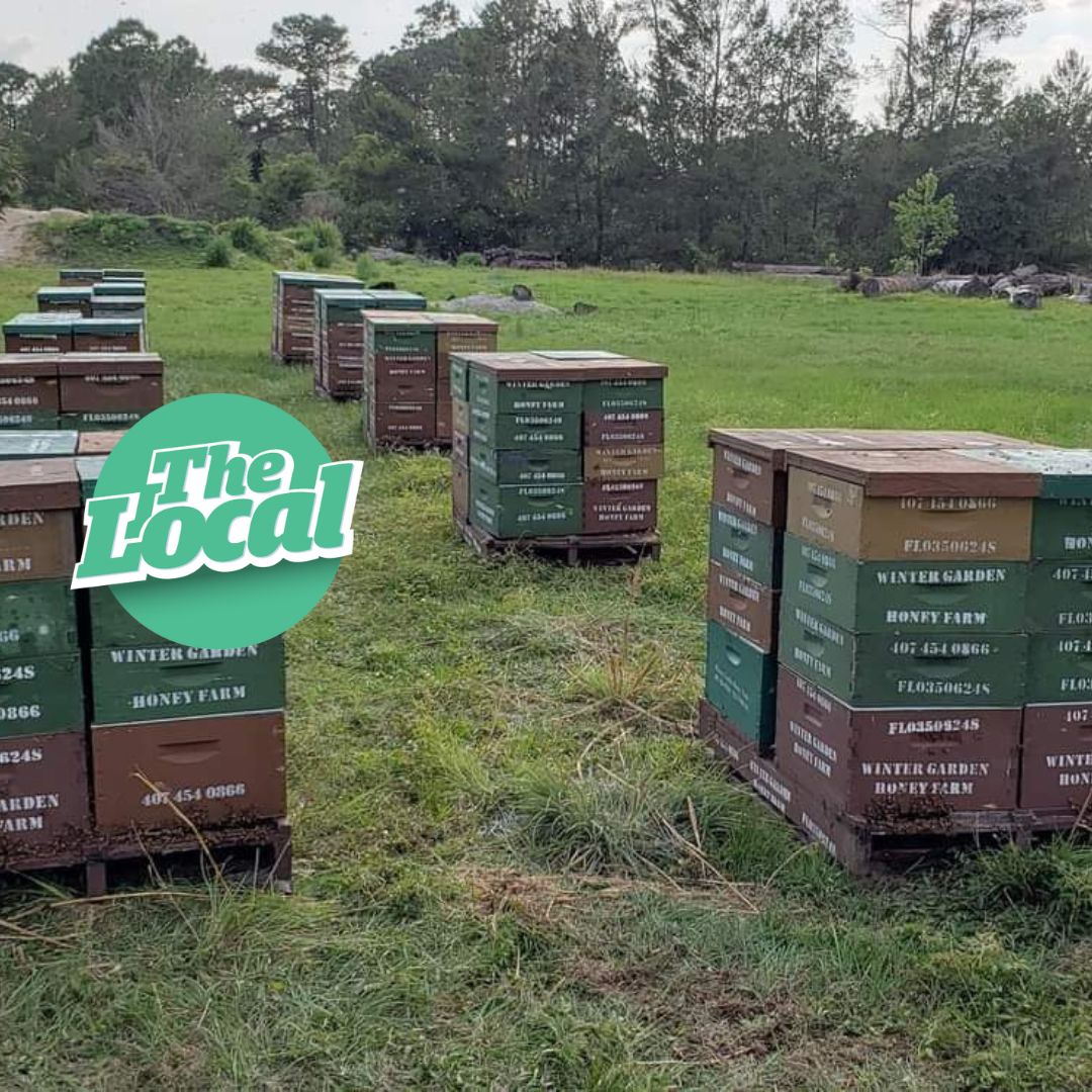 The State of Bee-ing – Kirsten Harrington