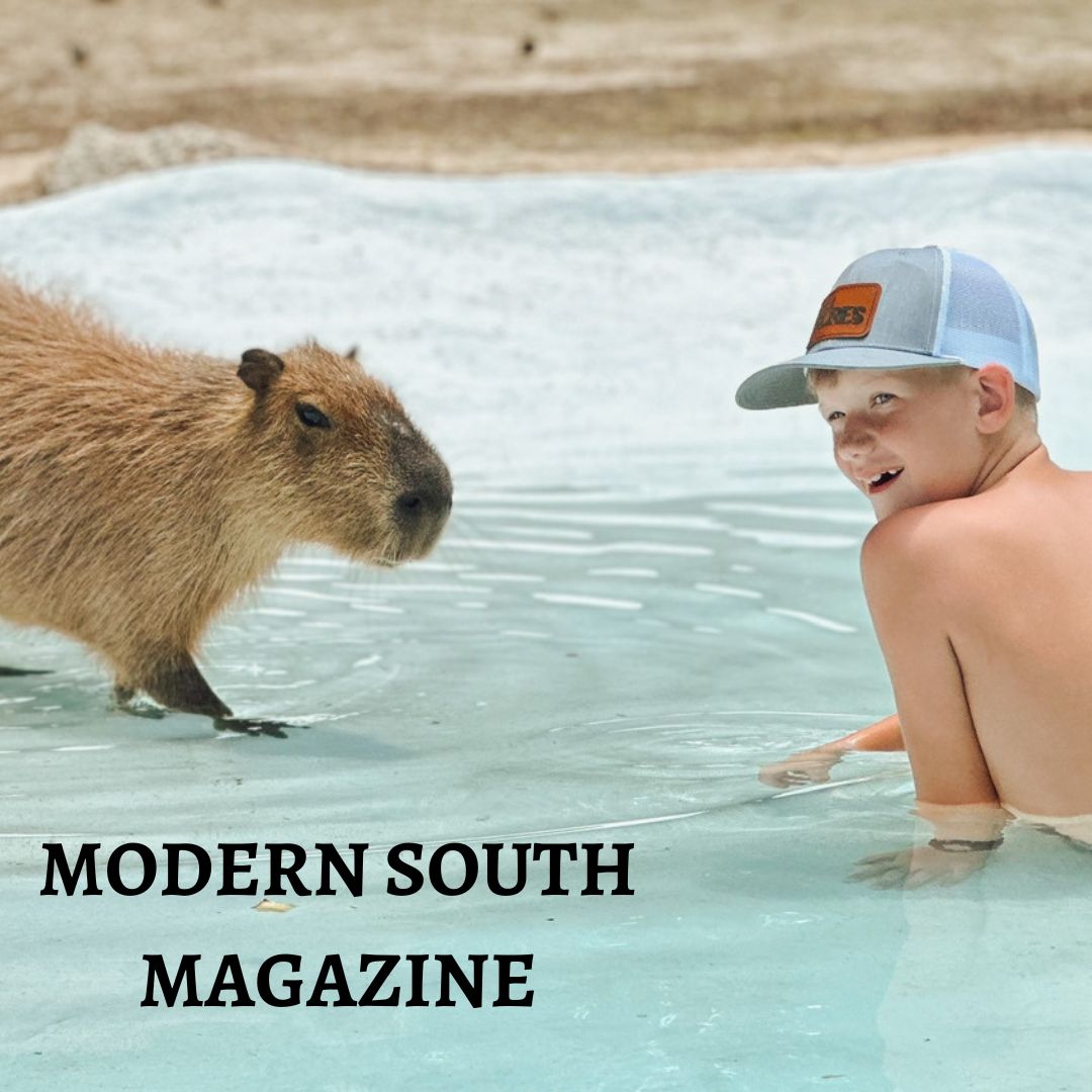 From Cow Hugs to Sloth Sips: The Best Animal Encounters in the South ...